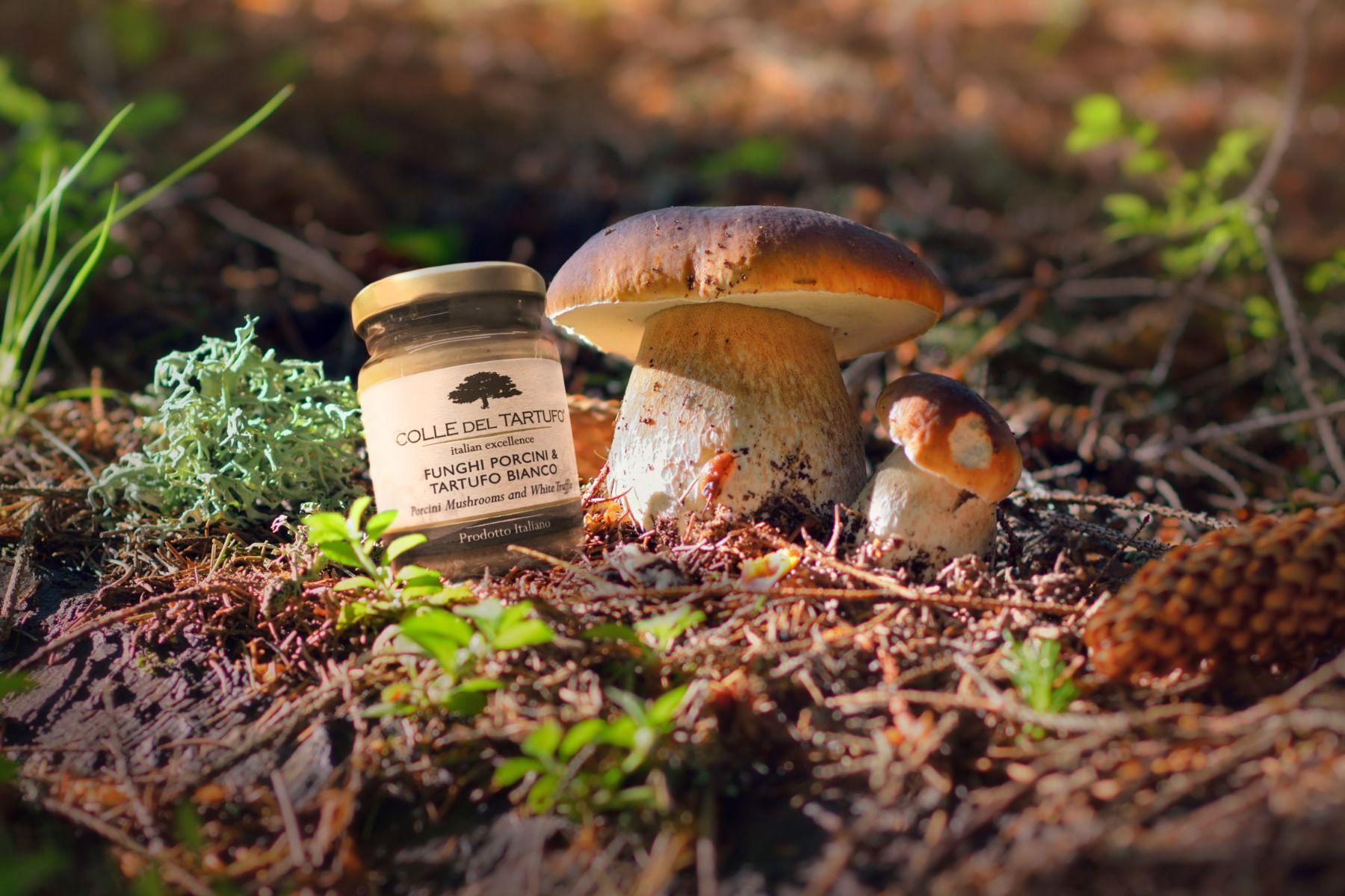 Porcini & White Truffle sauce | Cheeseonline.com